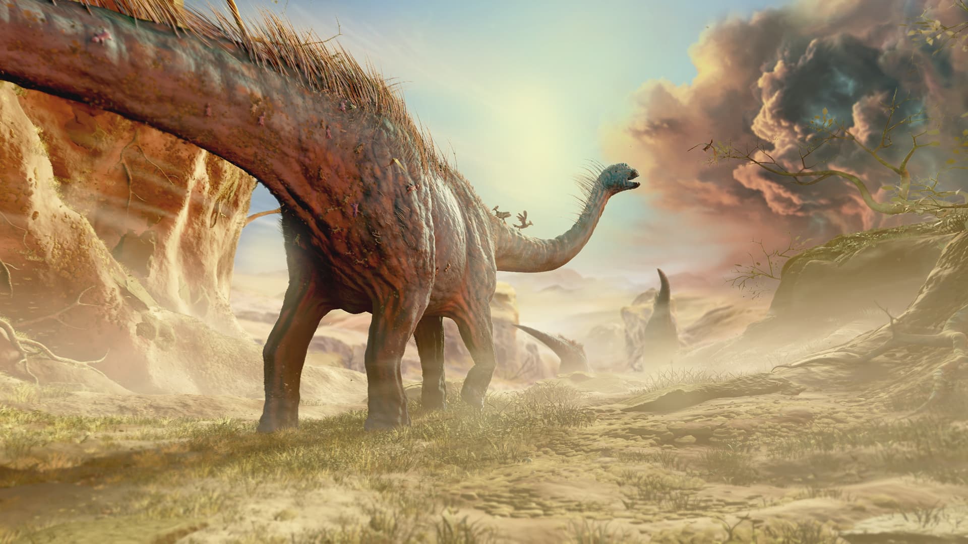 Animator | Certified Digital Artist