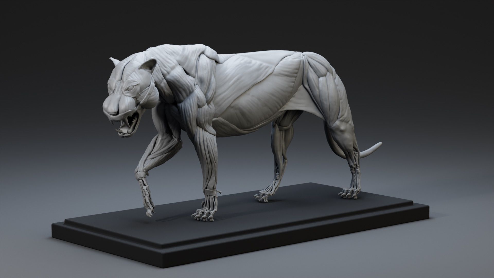 Rigging TD | Certified Digital Artist